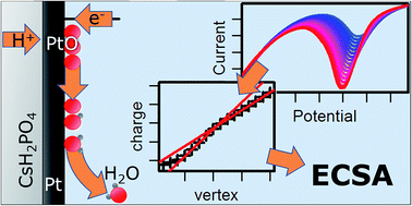 In situ determination of the electrochemically active platinum surface ...