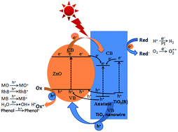 Designed synthesis of anatase–TiO2 (B) biphase nanowire/ZnO ...