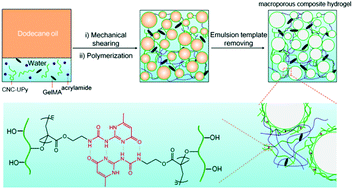 High internal phase emulsions stabilised by supramolecular cellulose ...