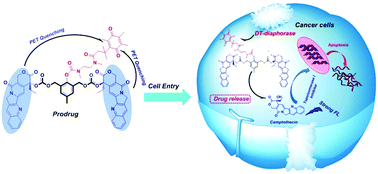 A self-immolative and DT-diaphorase-activatable prodrug for drug ...