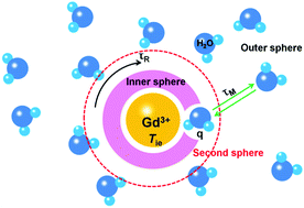 Gadolinium-based nanoscale MRI contrast agents for tumor imaging ...