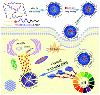 Dual-responsive core-crosslinked polyphosphoester-based nanoparticles ...