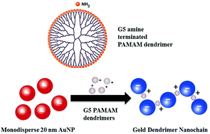 Tuneable plasmonic gold dendrimer nanochains for sensitive disease ...