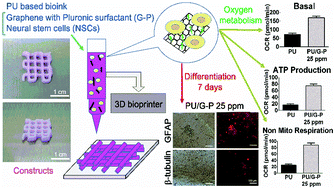 A graphene–polyurethane composite hydrogel as a potential bioink for 3D ...