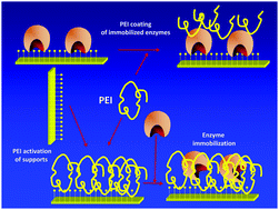 Polyethylenimine: a very useful ionic polymer in the design of ...