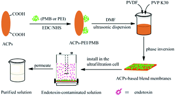 Fabrication of membrane absorbers based on amphiphilic carbonaceous ...