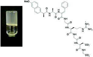 Self-assembled RGD dehydropeptide hydrogels for drug delivery ...