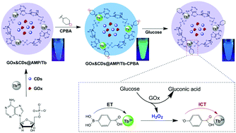 Lanthanide/nucleotide coordination polymers: an excellent host platform ...