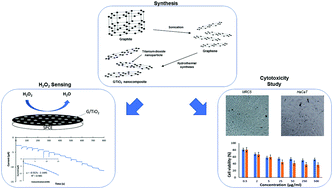 One-step green hydrothermal synthesis of biocompatible graphene/TiO2 ...