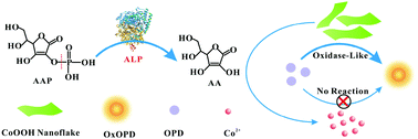 A fluorescence and colorimetric dual-mode assay of alkaline phosphatase ...