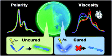 Flapping viscosity probe that shows polarity-independent ratiometric ...