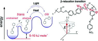 Effect of secondary relaxation transitions on photo-induced anisotropy ...