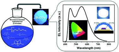 Microwave-assisted hydrothermal synthesis of solid-state carbon dots ...