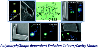 Polymorphism and microcrystal shape dependent luminescence, optical ...