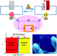 Fast and slow integrated single-molecule dual dielectric switch based ...