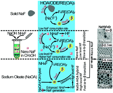 Nano-sized NaF inspired intrinsic solvothermal growth mechanism of rare ...