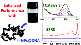 Prompt synthesis of iridium organosol on DNA for catalysis and SERS ...