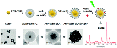 Multi-branch Au/Ag bimetallic core–shell–satellite nanoparticles as a ...