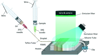 A novel mechanism for user-friendly and self-activated microdroplet generation capable of ...