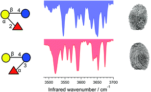 Cryogenic IR spectroscopy combined with ion mobility spectrometry for ...