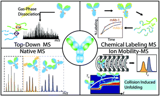The growing role of structural mass spectrometry in the discovery and ...