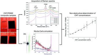 Fast and non-destructive Raman spectroscopic determination of multi ...