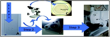Miniature diamond-anvil cells for FTIR-microspectroscopy of small ...