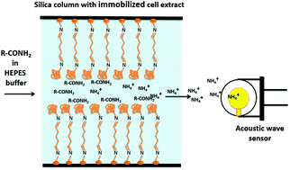 Development of a flow injection analytical system for short chain amide ...