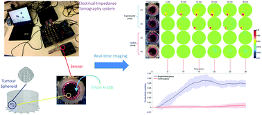 Electrical impedance tomography for real-time and label-free cellular ...