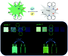 Two new quinoline-based regenerable fluorescent probes with AIE characteristics for selective ...