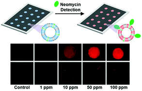 Design of a simple paper-based colorimetric biosensor using ...