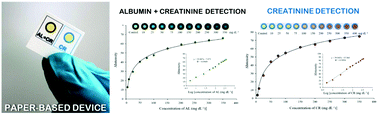 A novel paper-based colorimetry device for the determination of the ...