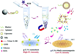 A sensitive and low background fluorescent sensing strategy based on g ...