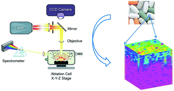 In situ analytical characterization and chemical imaging of tablet ...