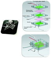Simultaneous extraction of acidic and basic drugs via on-chip ...