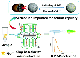 Microfluidic array surface ion-imprinted monolithic capillary ...