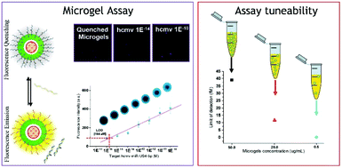 One-step scalable fluorescent microgel bioassay for the ultrasensitive ...
