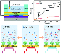 A highly sensitive and versatile chiral sensor based on a top-gate ...