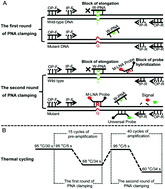 Ultrasensitive and quantitative detection of EGFR mutations in plasma ...