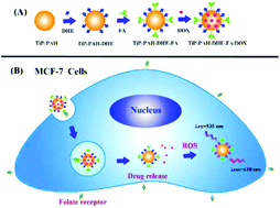 Multifunctional titanium phosphate nanoparticles for site-specific drug ...