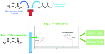 Facile method based on 19F-NMR for the determination of hydroxyl value ...