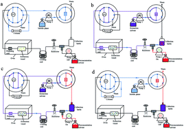 Online coupling of tandem liquid-phase extraction with HPLC-UV for the ...