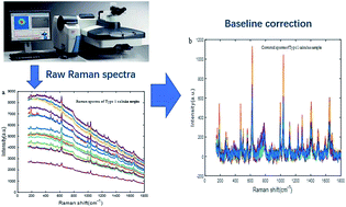 Baseline correction for Raman spectra using penalized spline smoothing ...