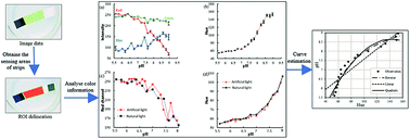 Quantification of combined color and shade changes in colorimetry and ...
