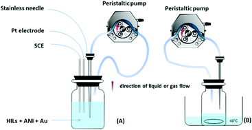 A novel needle trap device coupled with gas chromatography for ...