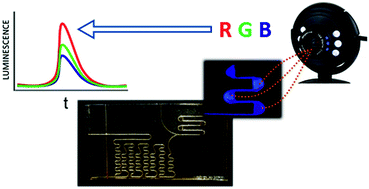 Image-based luminescence detection for quantitative determinations in ...