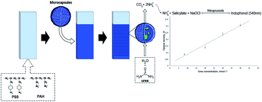 Determination of urea concentration using urease-containing ...