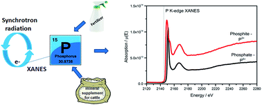 Determination and speciation of phosphorus in fertilizers and mineral ...