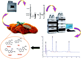 An advanced microwave-assisted extraction-low density solvent based on ...