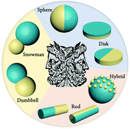 Janus nanoparticles in cancer diagnosis, therapy and theranostics ...